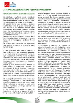 Consigli sul birdwatching per le piccole ed i piccoli | Lipu ODV